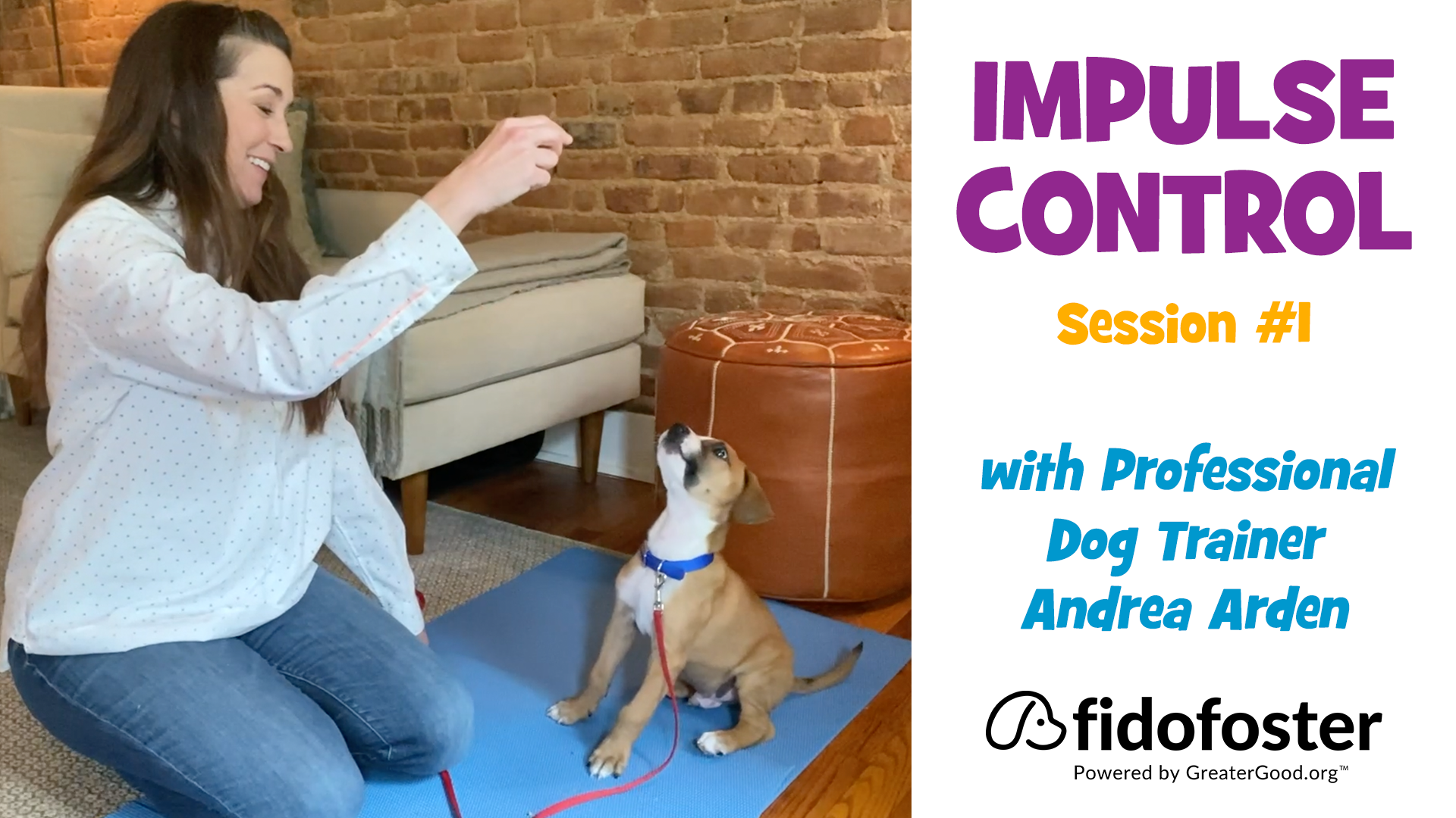 Dog Training with Andrea: Impulse Control, Session 1 - Fido Foster